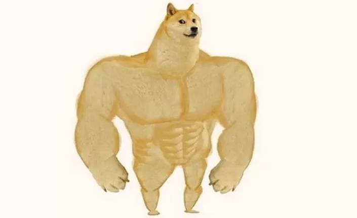 플러터 10주 스터디 – 노마드 코더 Nomad Coders